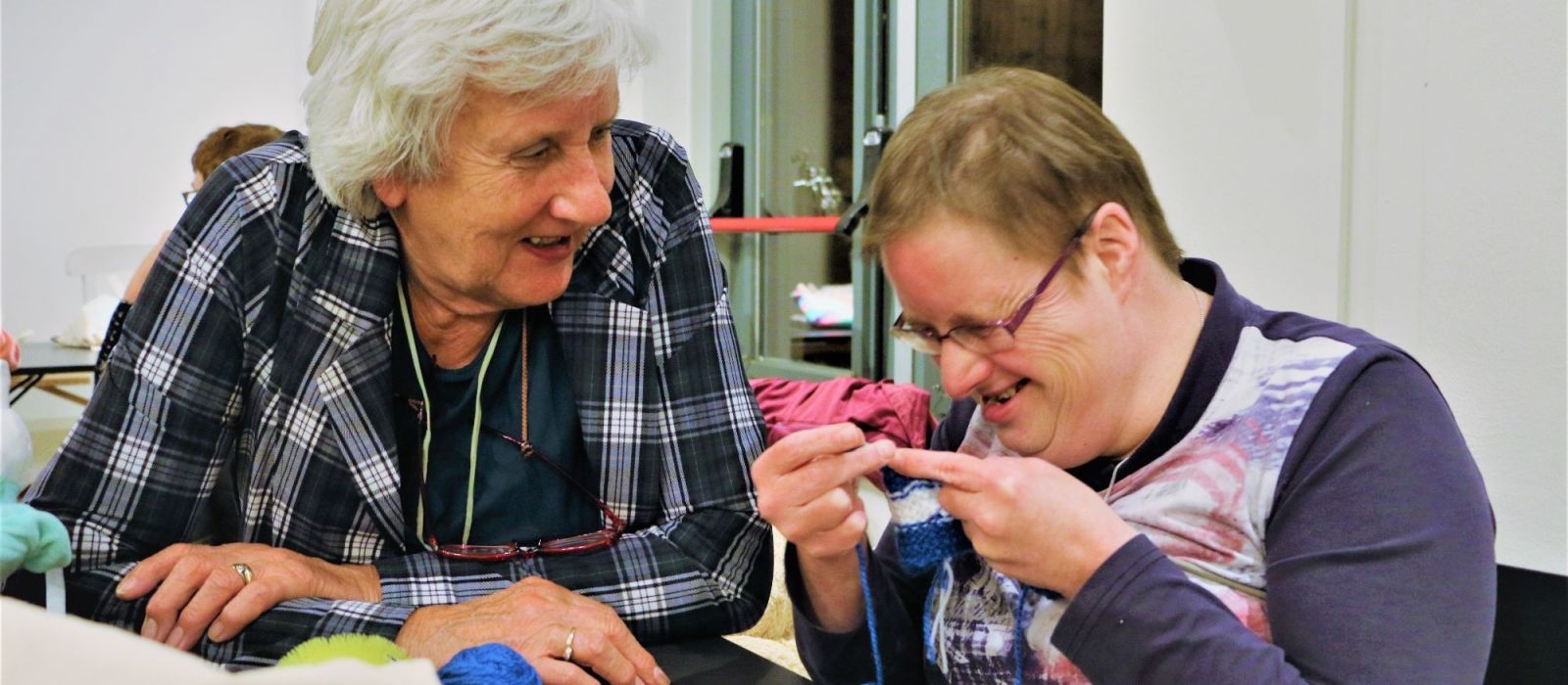 Vrijwilligerswerk – Ipse de Bruggen